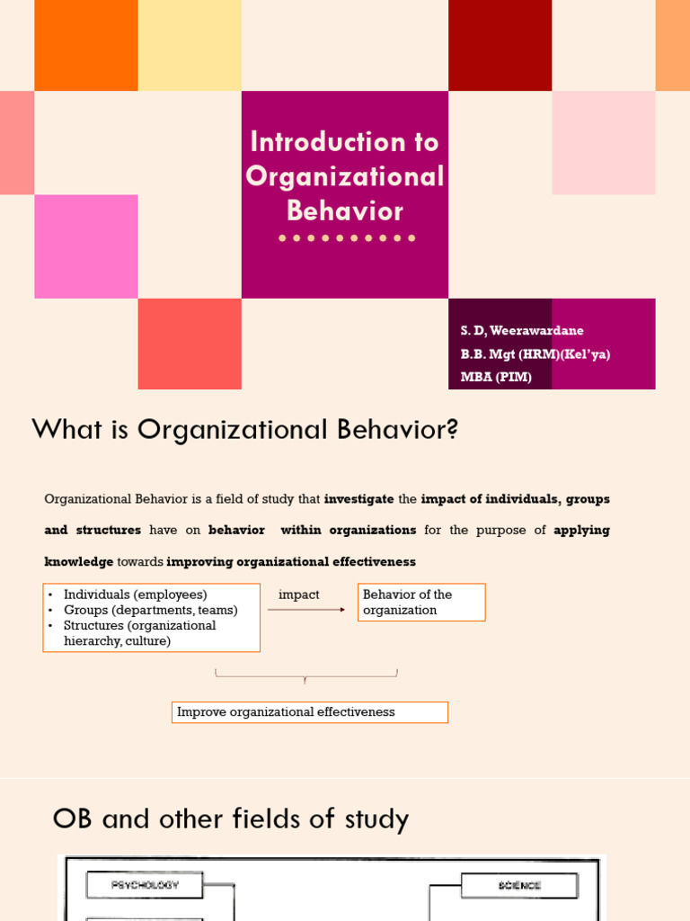Lesson One Introduction To Organizational Behavior Pdf