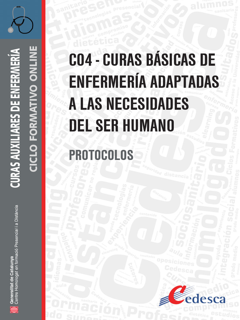 PROTOCOLOS c4 | PDF