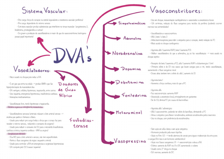 Mapa Mental - Aula DVA's | PDF
