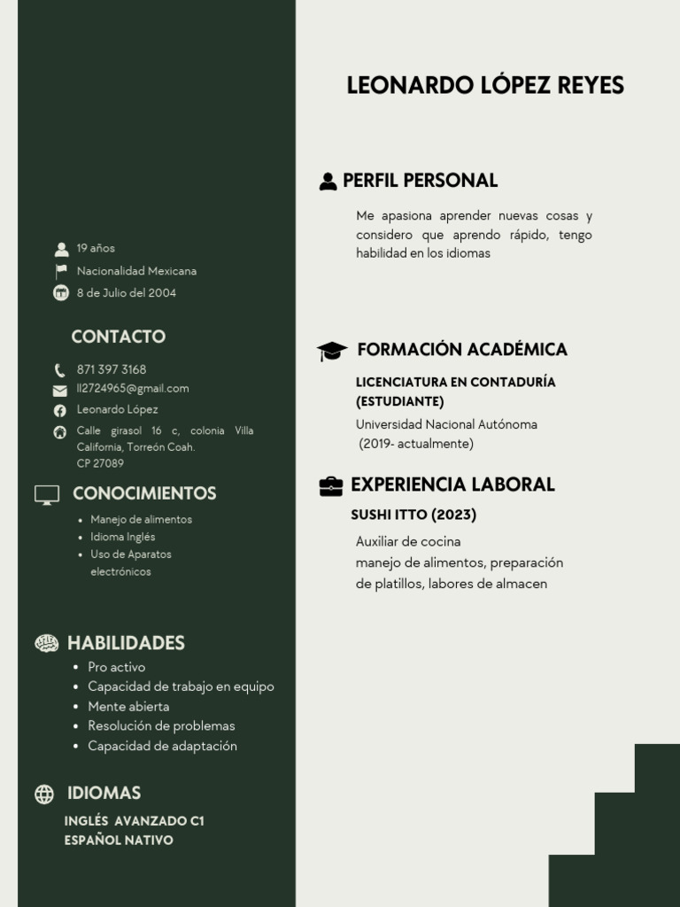 Curri Culum Profesional Leonardo Lo Pez | PDF