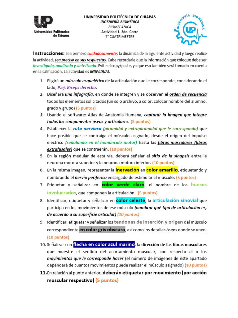 Actividad 1. Control Motor | PDF | Músculo esquelético | Articulación