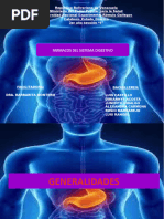 G00163403-02-Reliveran Comprimidos Sublingual Gotas | PDF | Tableta ...