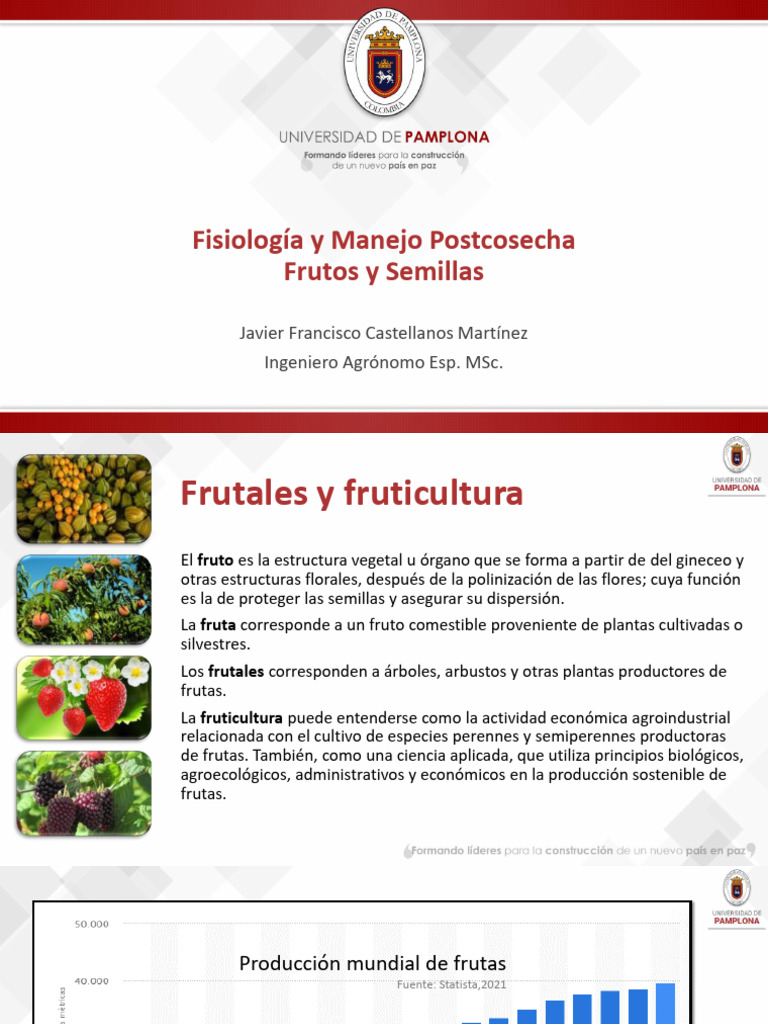 Frutos y Semillas | PDF | Fruta | Semilla