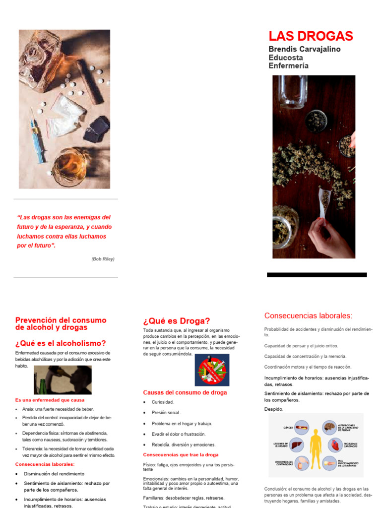 La Drogadicción | PDF | Alcoholismo | La dependencia de sustancias