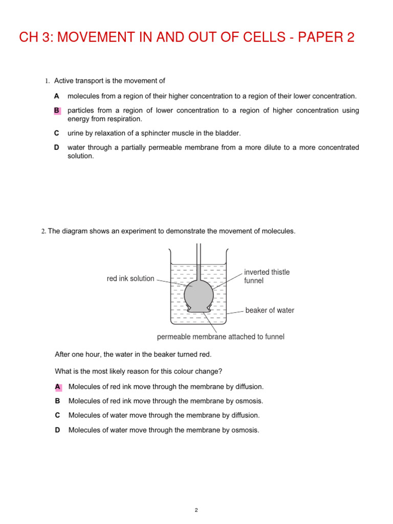 Chapter 3 Movement in and Out of Cells - Paper 2 | PDF | Osmosis | Cell ...