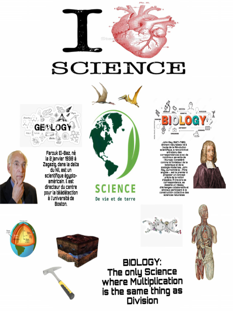 C896A5D2-06EF-4341-9396-621F3C0AA0F2 | PDF