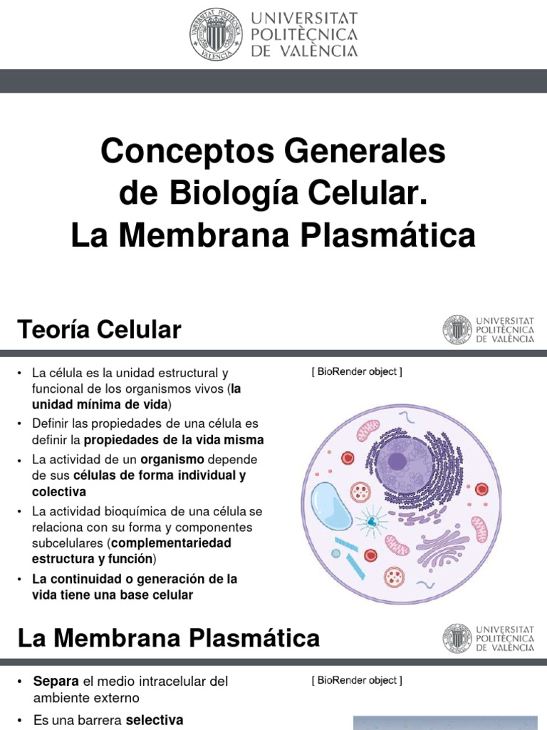 Fisiologia Semana1 | PDF | Biología Celular) | Citoplasma