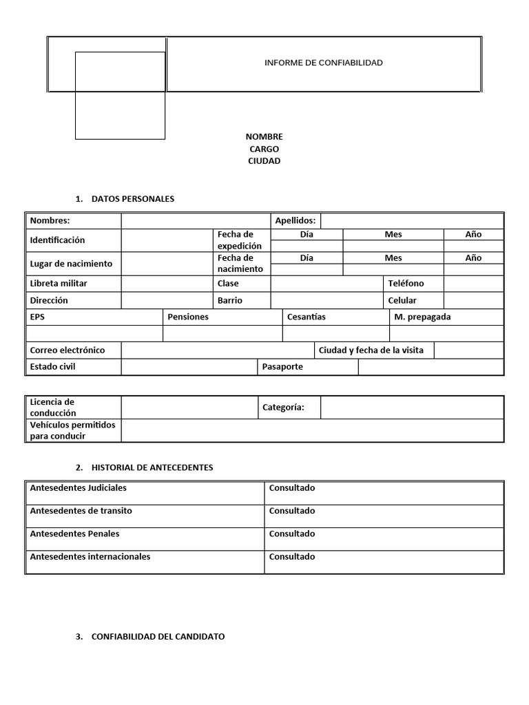 Formato de Informe de Confiabilidad | PDF