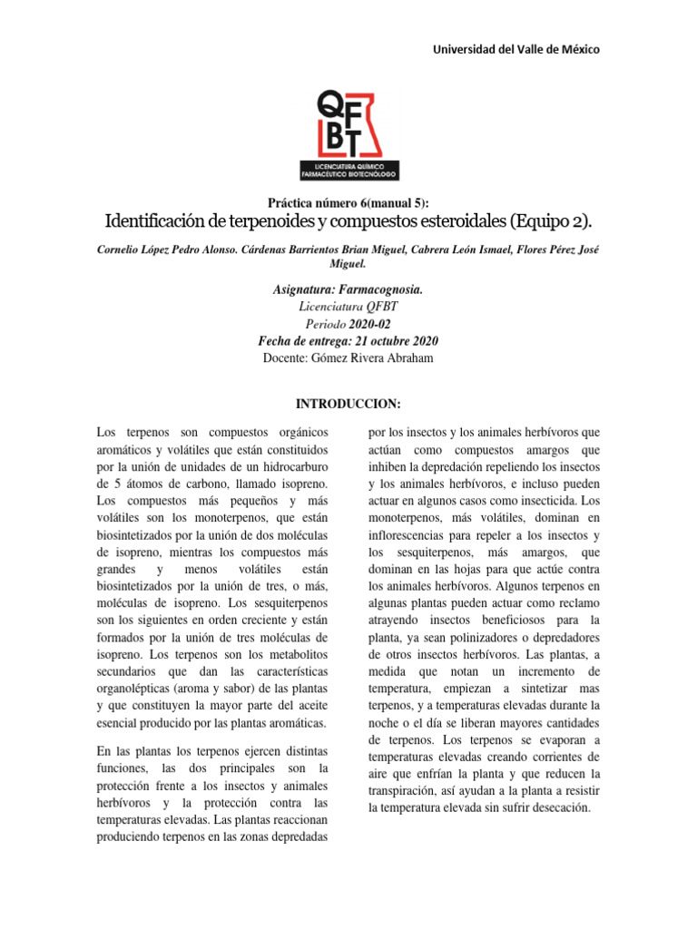 P6 Identificación De Terpenoides E4 Pdf Química Productos