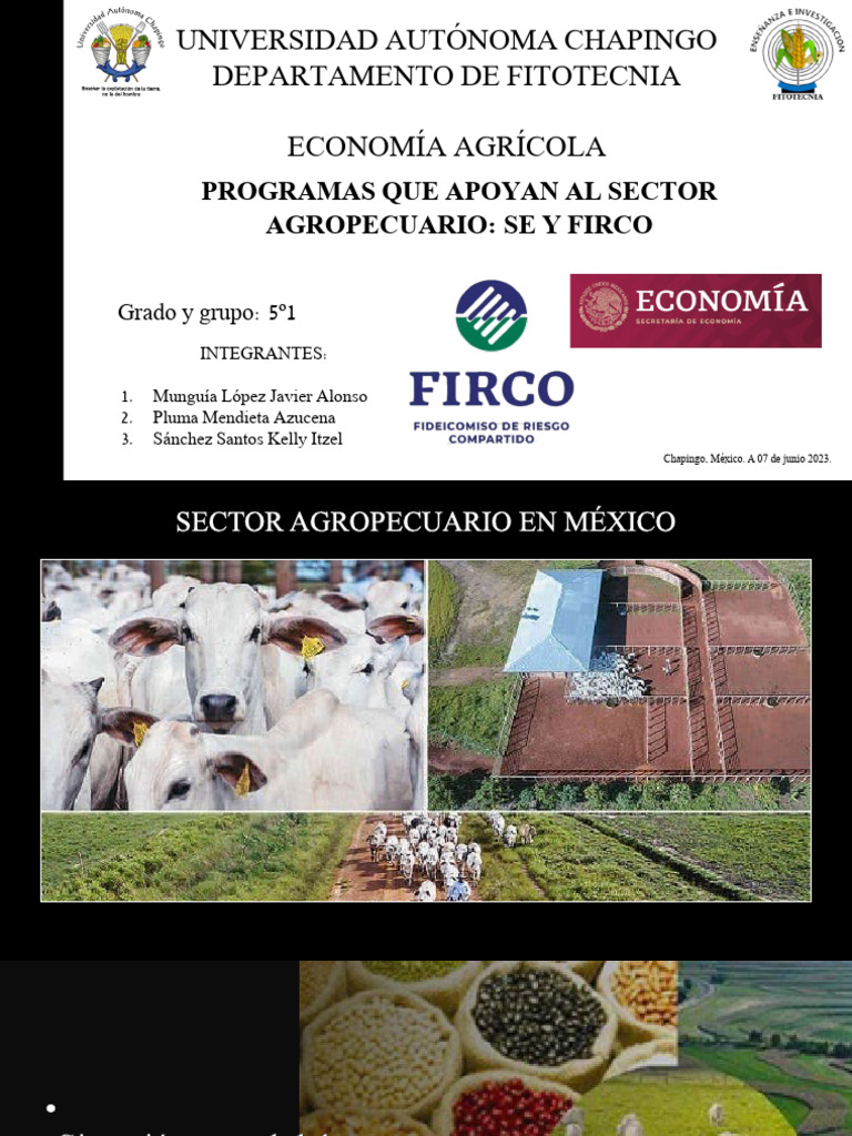 Presentación SE y FIRCO | PDF | Cooperativa | Business