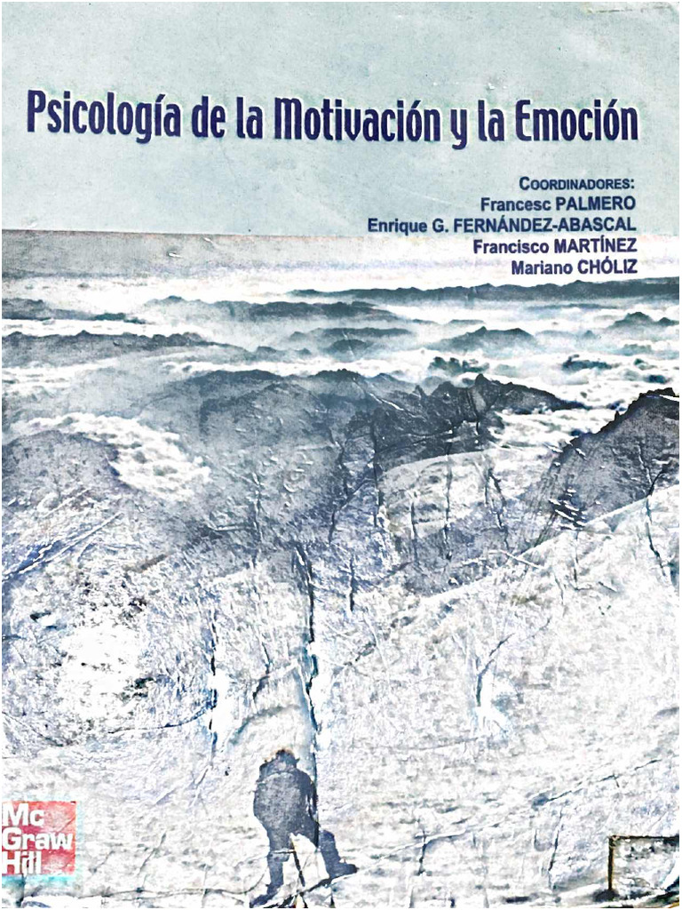 Proceso Emocional | PDF