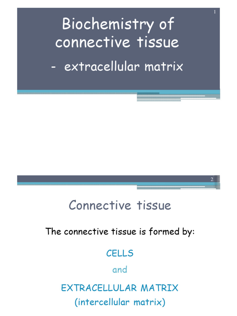 Connective Tissue Biochemistry | PDF | Collagen | Extracellular Matrix