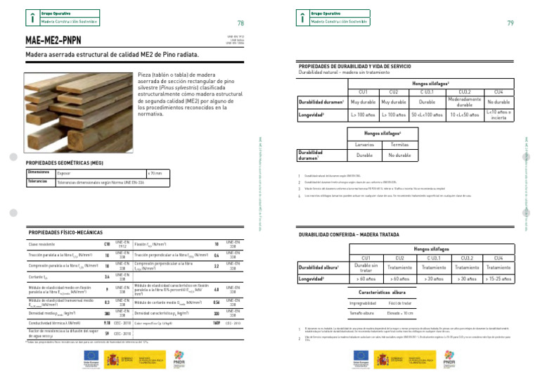 Mae Me2 PNPN - v0 | PDF | Madera | Materiales
