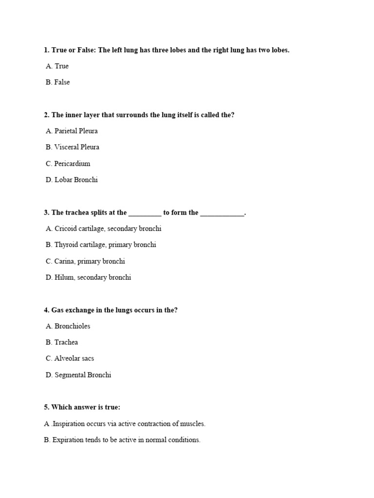 Anatomy and Physiology of Respiratory System Quiz | PDF | Lung ...