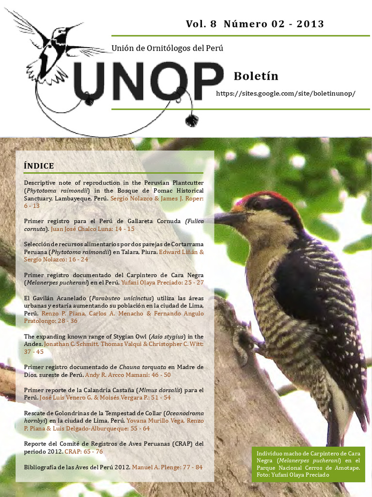 Avances en Ornitología en Perú 2013 | PDF | Perú | Ornitología