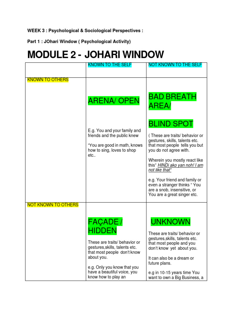 Understanding Johari Window Activity | PDF | Self | Experience
