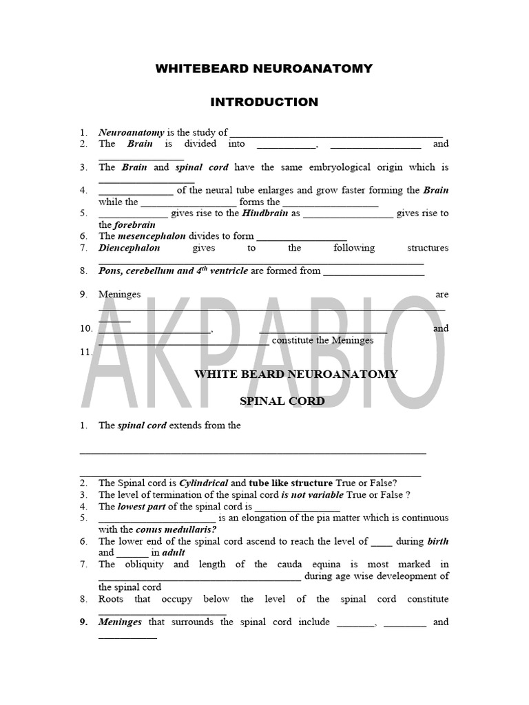 Neuro Spinal Cord WB | Download Free PDF | Spinal Cord | Grey Matter