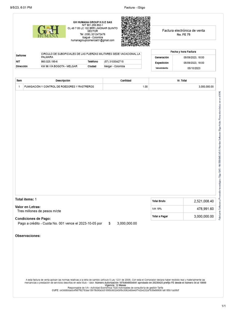 Ejemplo Factura de Venta Electronica 003 | PDF