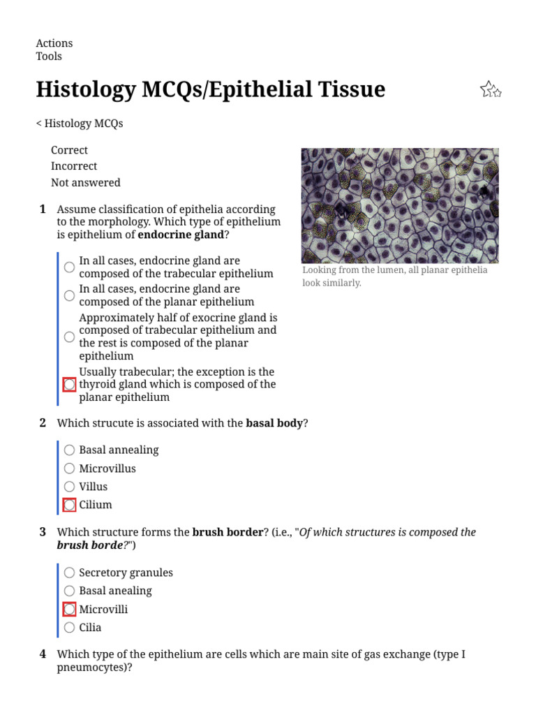 Epithelial Tissue MCQs and Answers | PDF | Histology | Tissue (Biology)