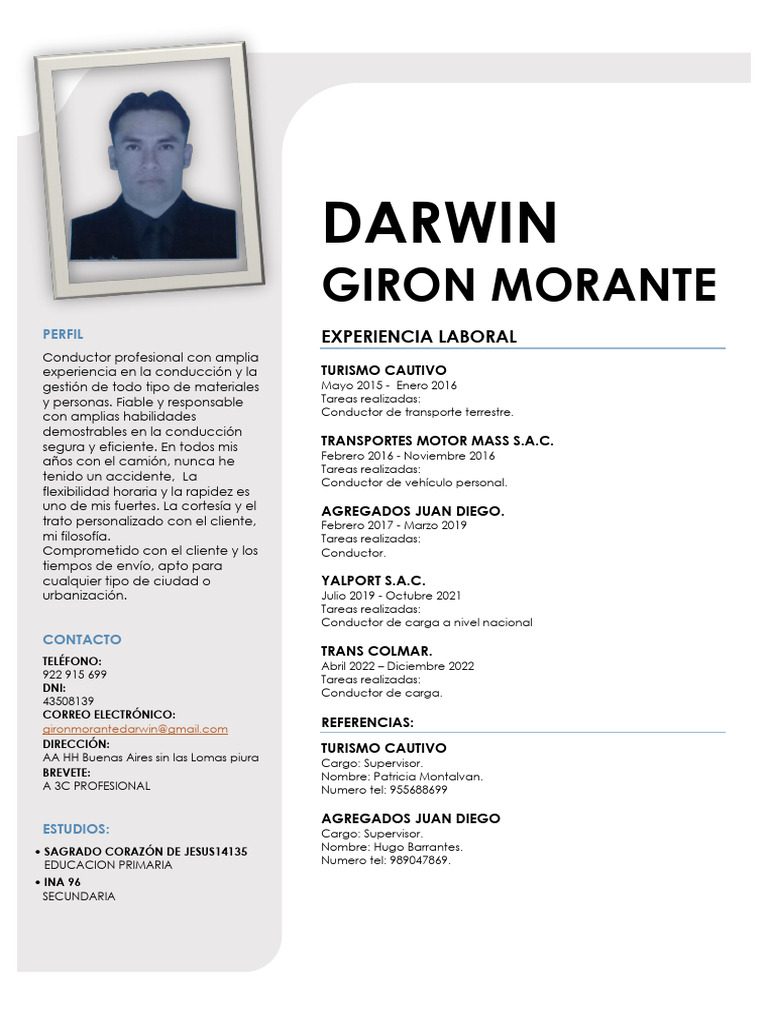 CV Darwin Giron Morante. | PDF