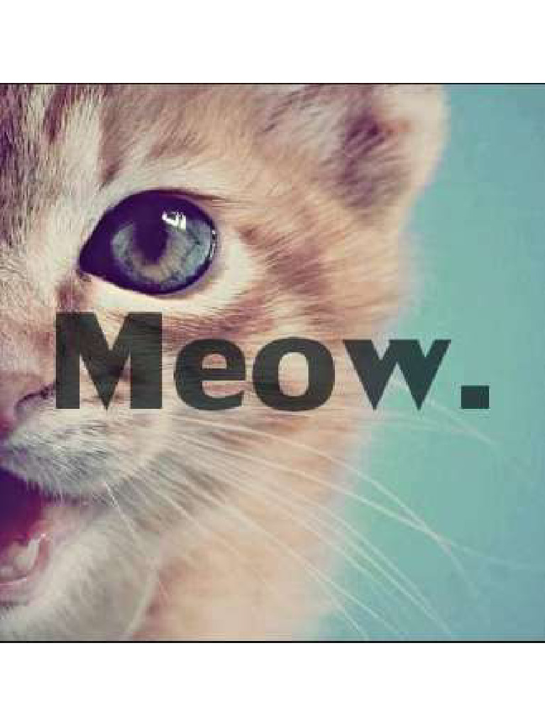 Meow Pdf