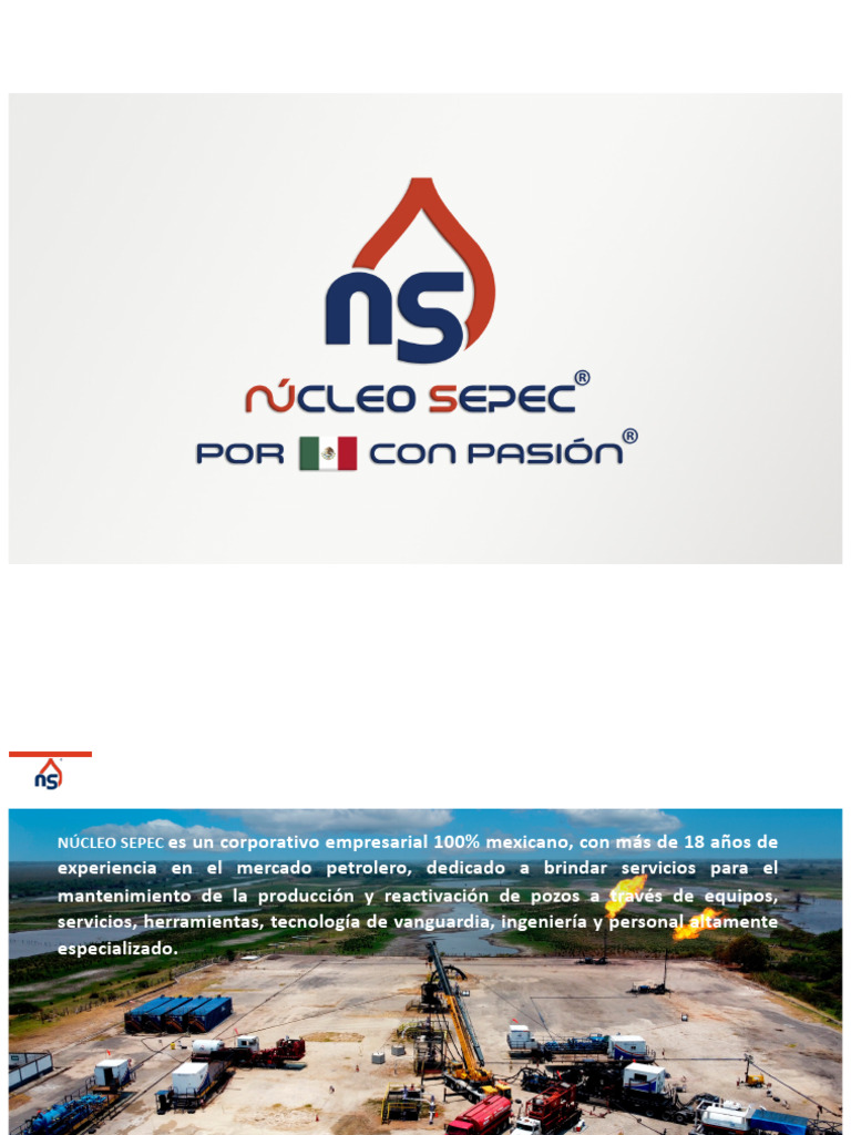 Presentación Ejecutiva Nucleo Sepec Ene2024 V01 | PDF