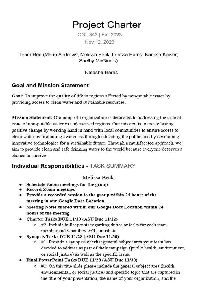 Project Charter - Red | PDF