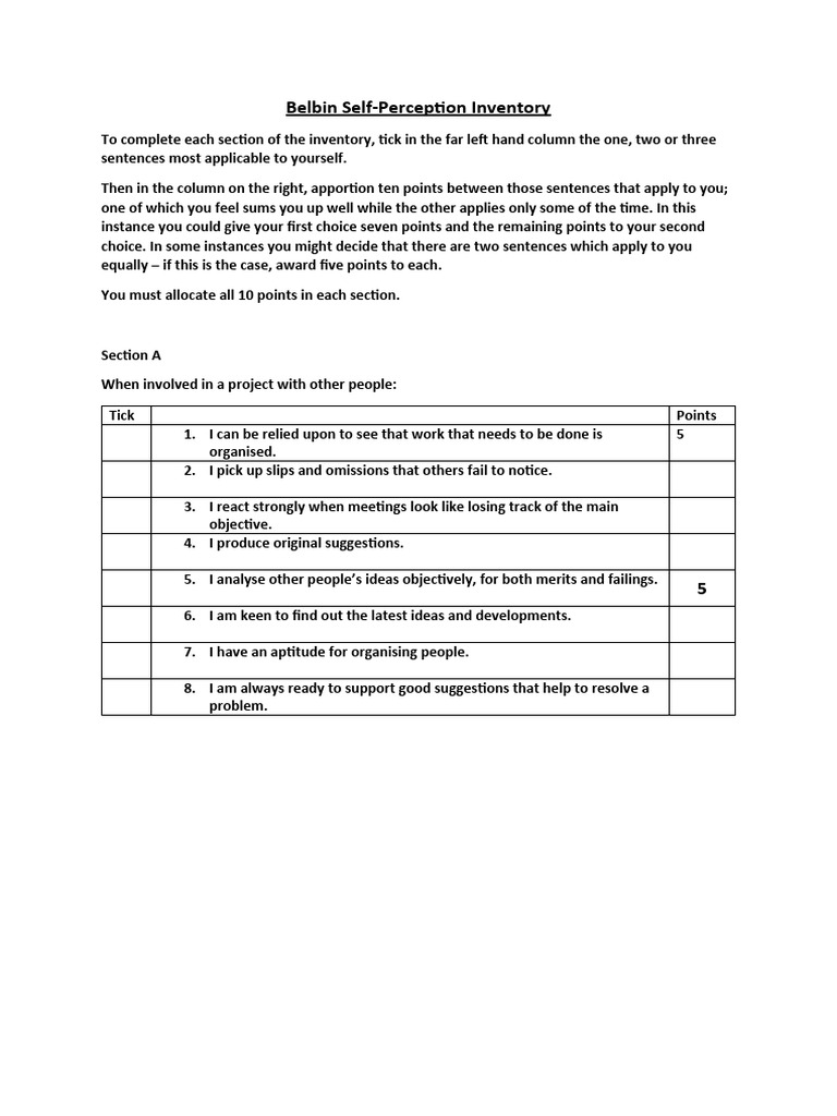 Belbin Test (Example) | PDF | Behavioural Sciences | Psychological Concepts