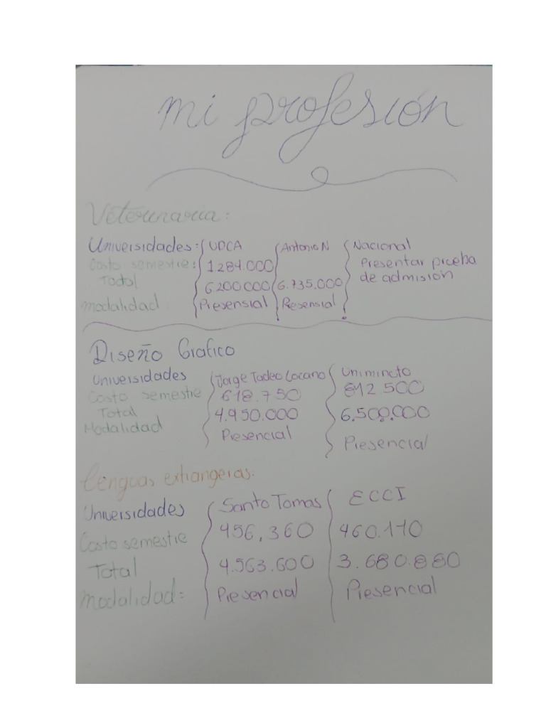 Dimension Profesional | PDF