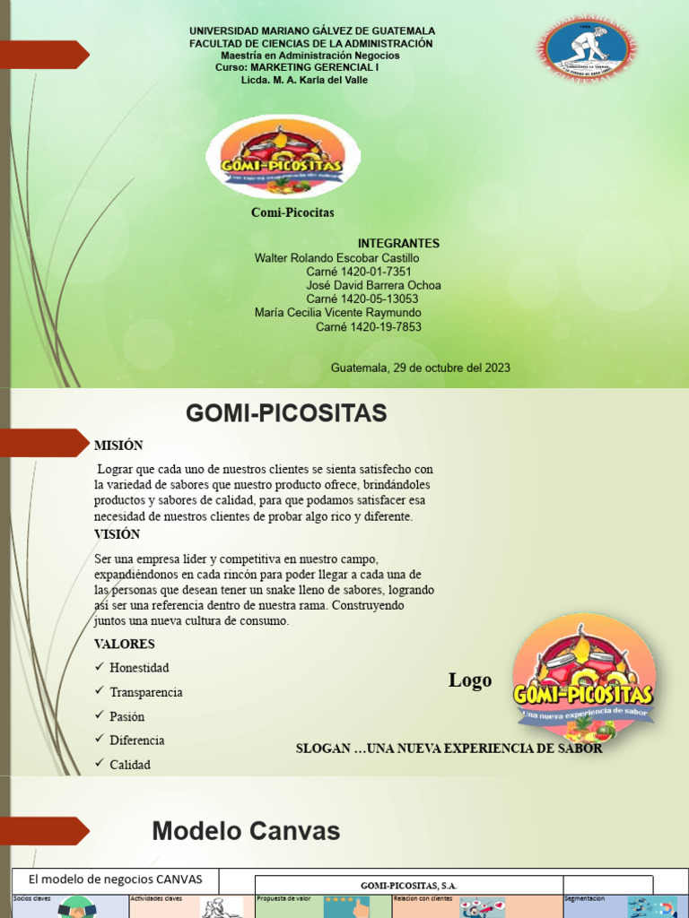 Proyecto Final Gomi - Picositas | PDF | Mercado (economía) | Business