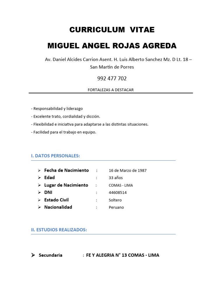 CV Miguel Angel | PDF