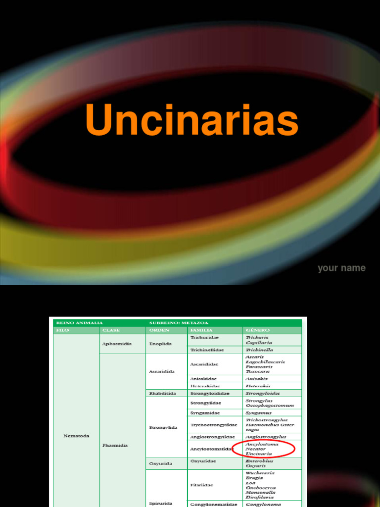 Uncinaria | PDF | Biología | Especialidades Medicas