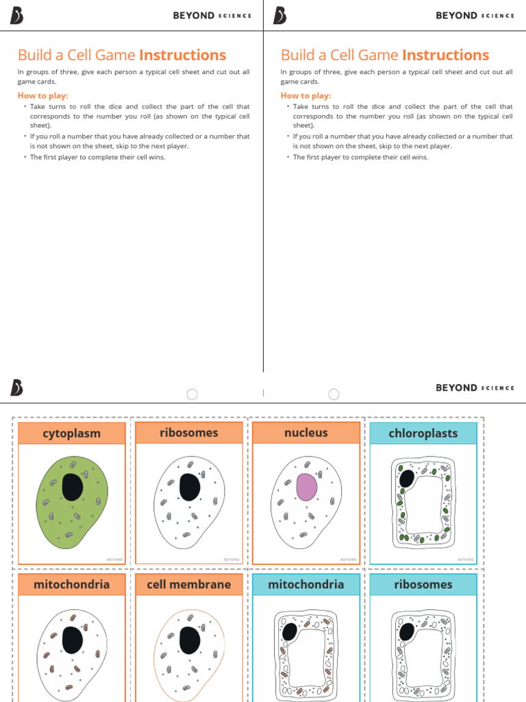 Build A Cell Game | PDF | Cell (Biology) | Cytoplasm