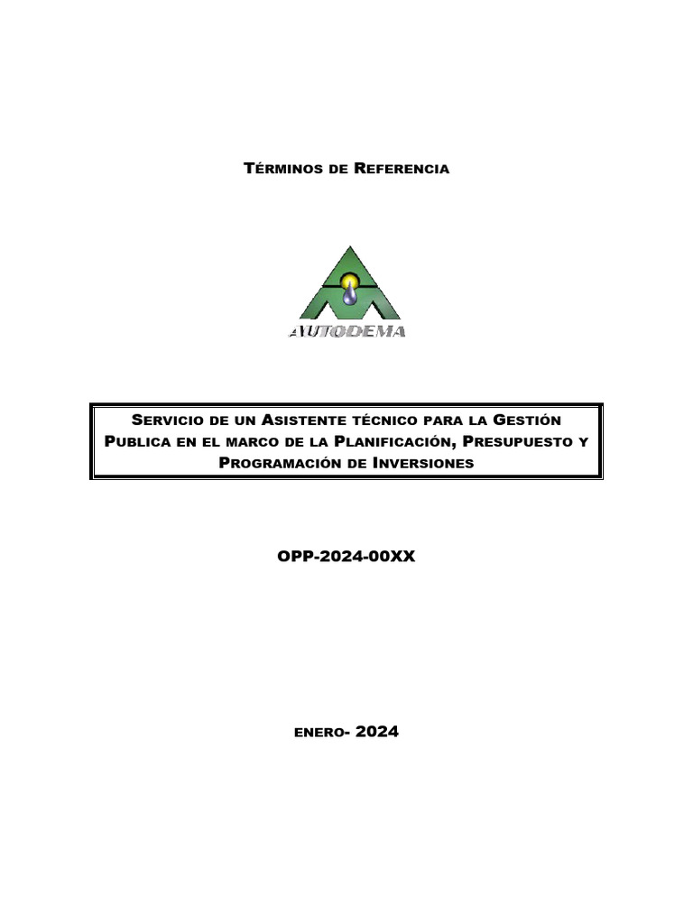 TDR Asistente Tecnico - 2024 | PDF | Presupuesto | Planificación