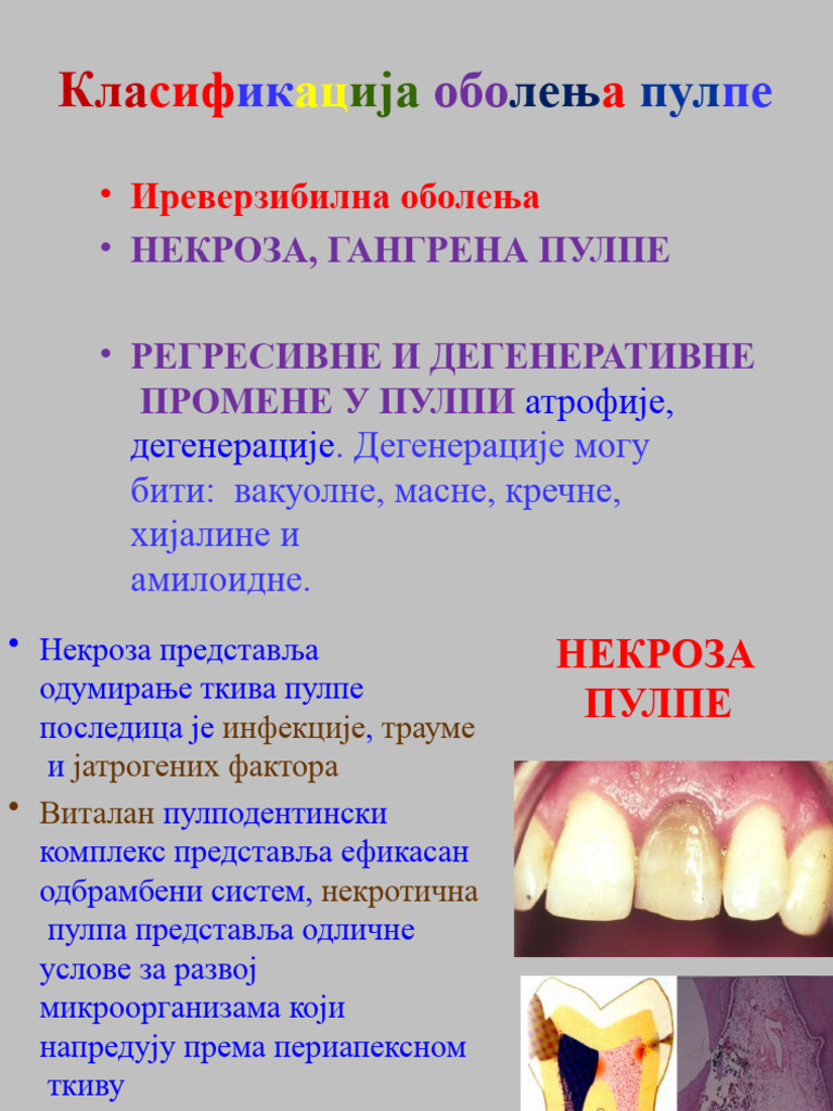 Nekroza Pulpe | PDF