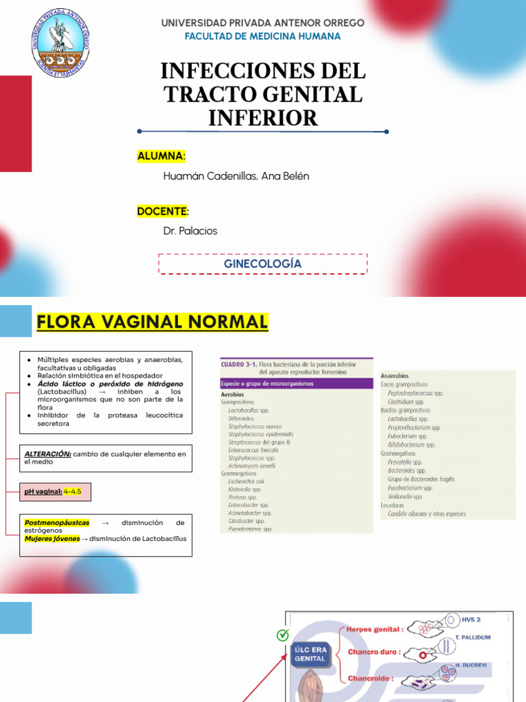 Infecciones Del Tracto Inferior - m3 - Gineco | PDF | Herpes Simple ...