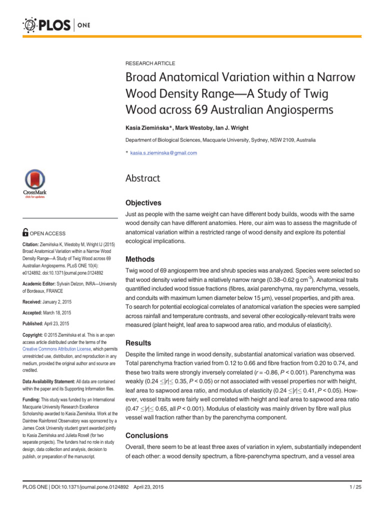 Articulo Maderas 1 | PDF | Wood | Tissue (Biology)
