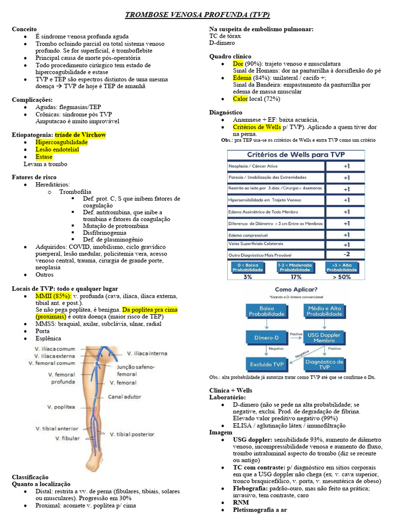 Trombose Venosa Profunda: Diagnóstico e Manejo | PDF | Especialidades ...