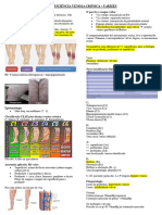 Classificação CEAP em Insuficiência Venosa | PDF | Varizes | Veia