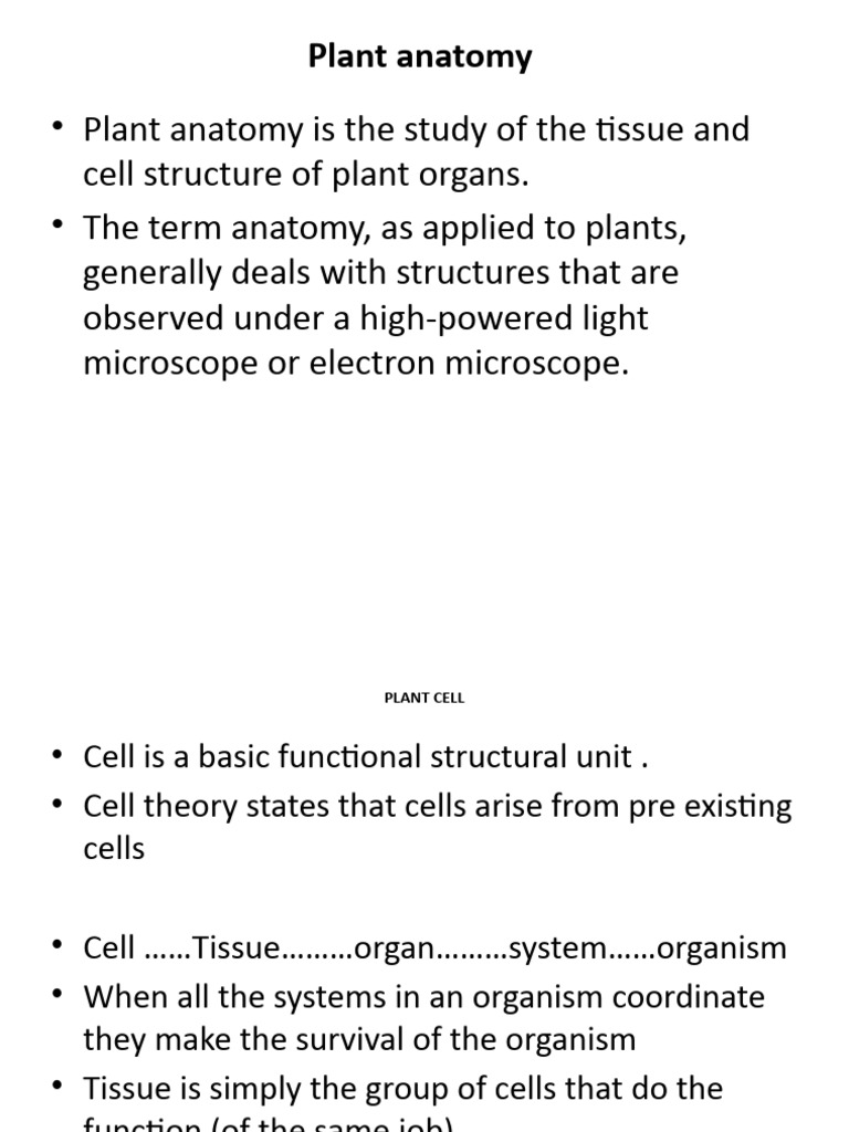 Botany Lesson 4 | PDF | Tissue (Biology) | Leaf