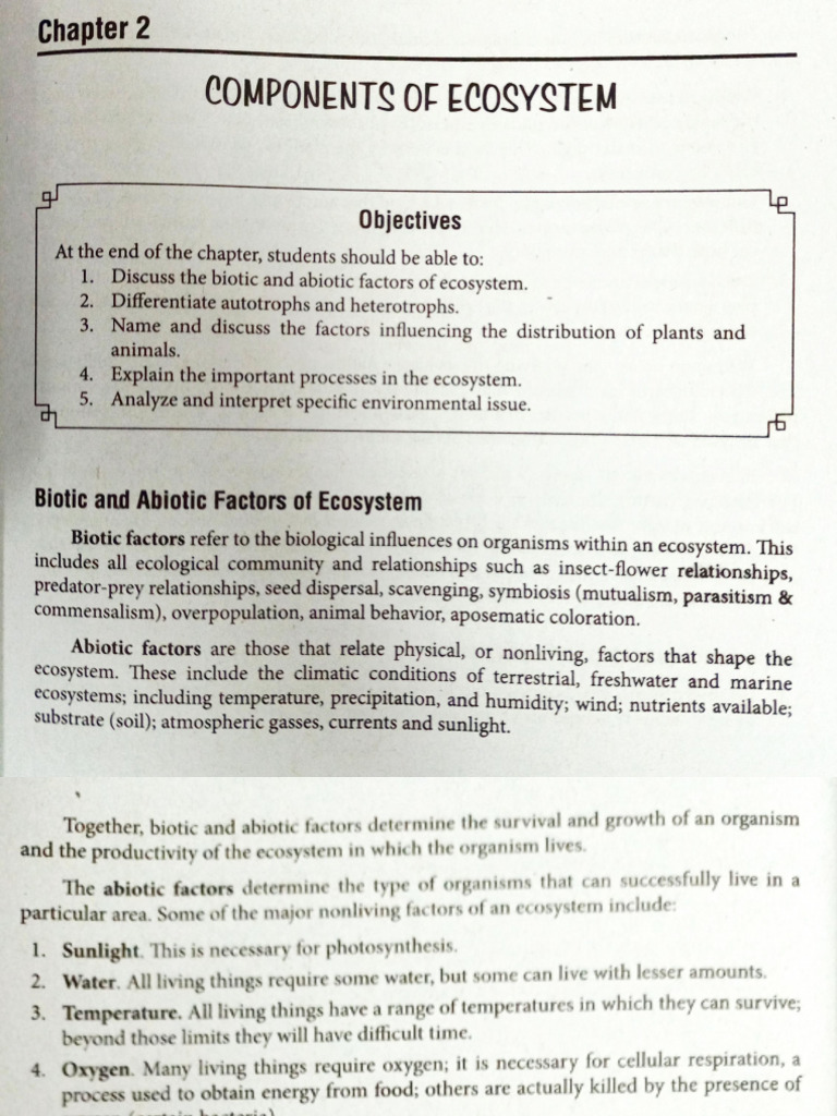 Chapter 2 Components of Ecosystem | PDF