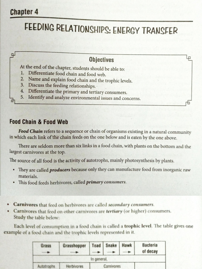 Chapter 4 Feeding Relationship - Energy Transfer | PDF
