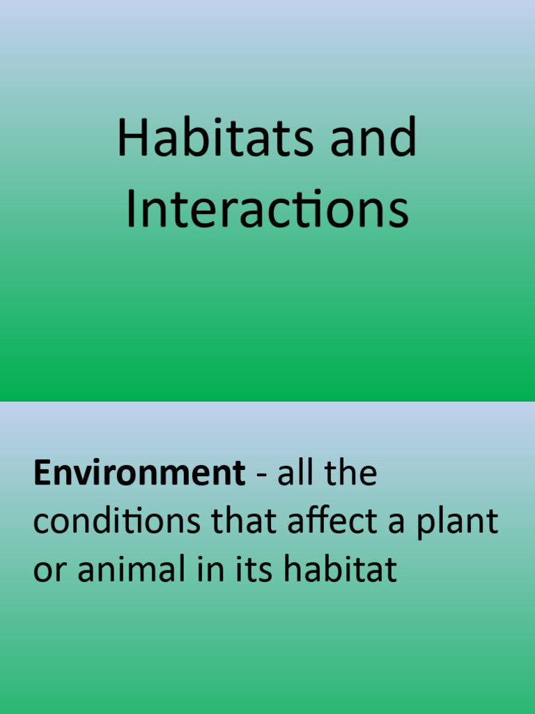 Warm Ups Habitats and Interactions | PDF