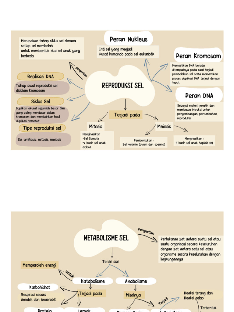 Reproduksi dan Metabolisme Sel Eukariotik | PDF