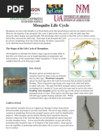 Life Cycle of Female Anopheles Mosquito | PDF | Mosquito | Fly