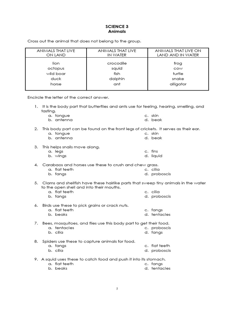 Grade 3 Science Animals | Download Free PDF | Tentacle | Tooth