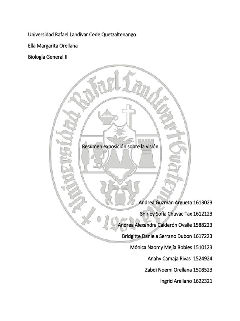 Resumen Visión | PDF | Percepción visual | Percepción