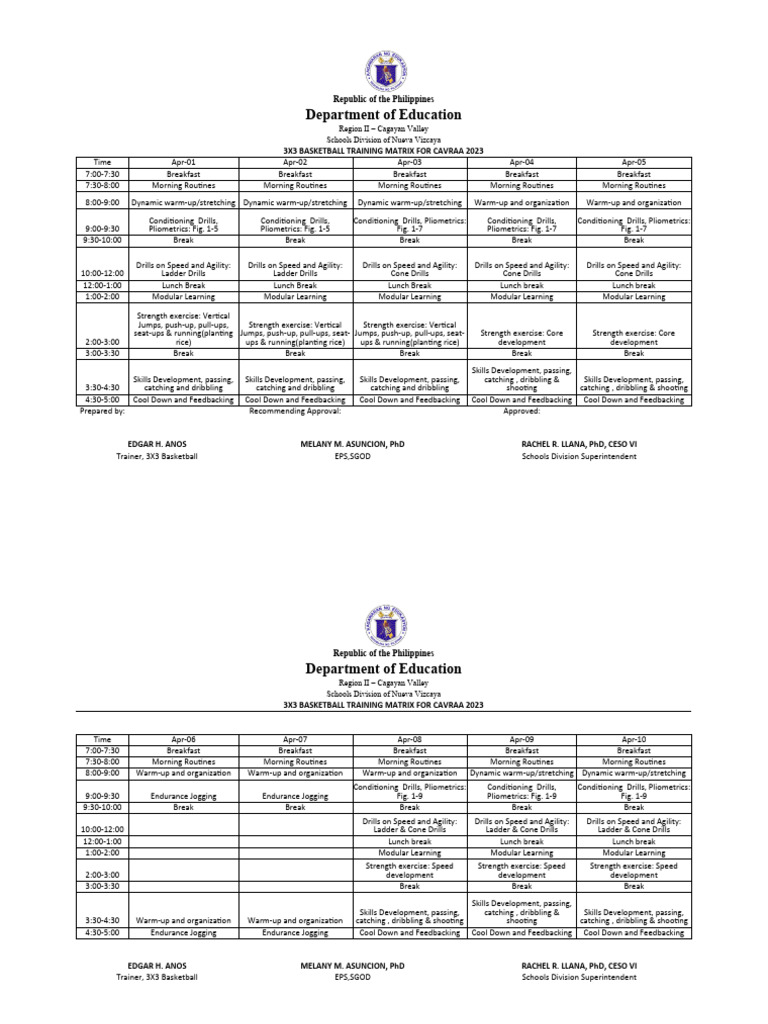 3X3 Basketball Training Matrix 2023 | PDF