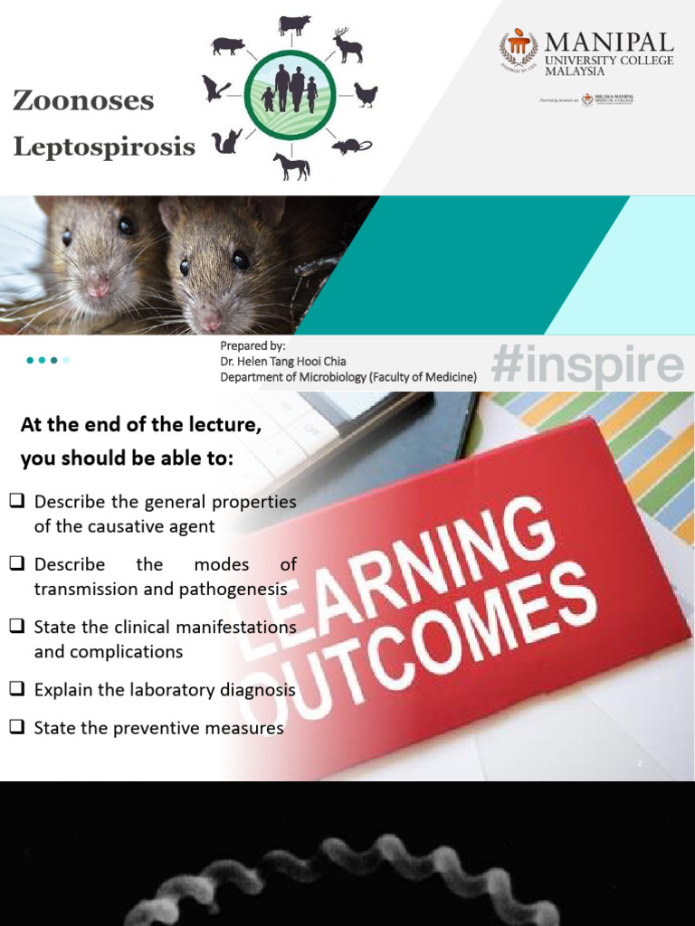 MBBS Leptospirosis Student | PDF | Health Sciences | Causes Of Death