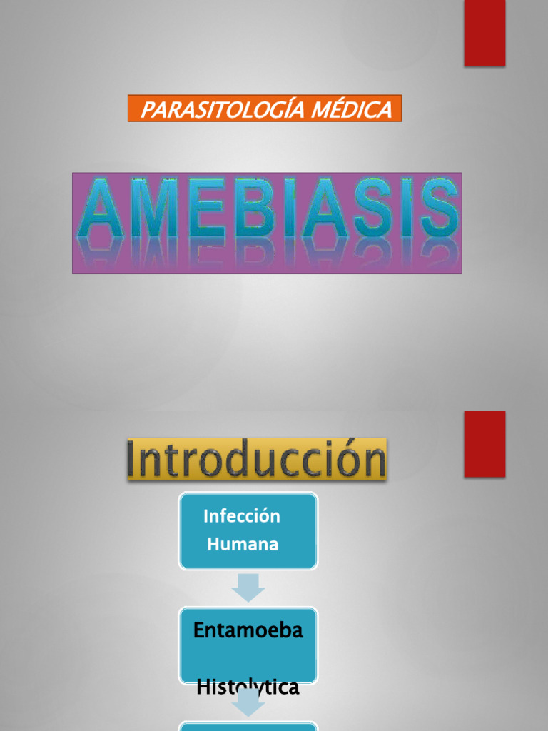 AMEBIASIS Mer | PDF | Biología | Organismos